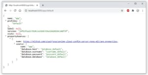 Code ví dụ Spring Cloud Config Server | TopDev