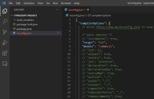 Code ví dụ TypeScript, hướng dẫn tạo project TypeScript | TopDev